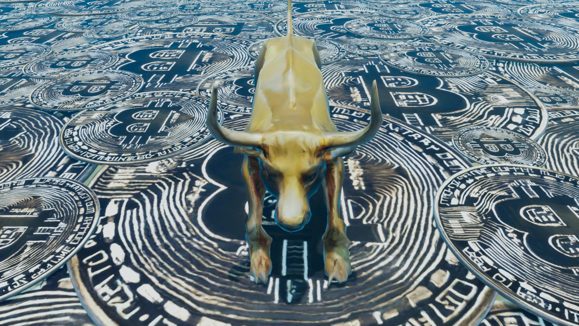 Check out Golden Bull Run | Nifty Island