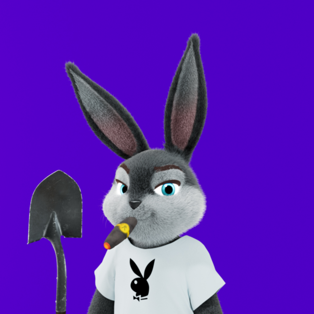 seti - Profile | Nifty Island